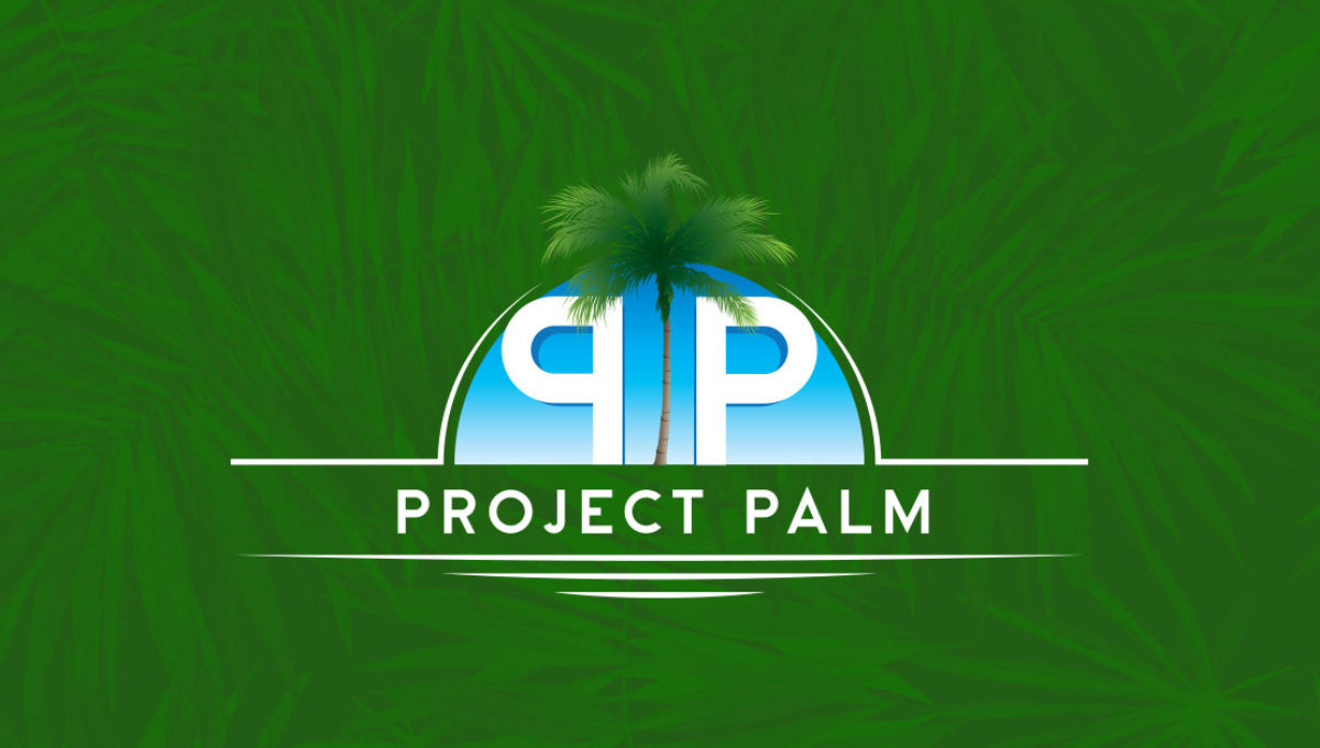 Coccothrinax alta | Puerto Rican Thatch Palm - ProjectPalm.net